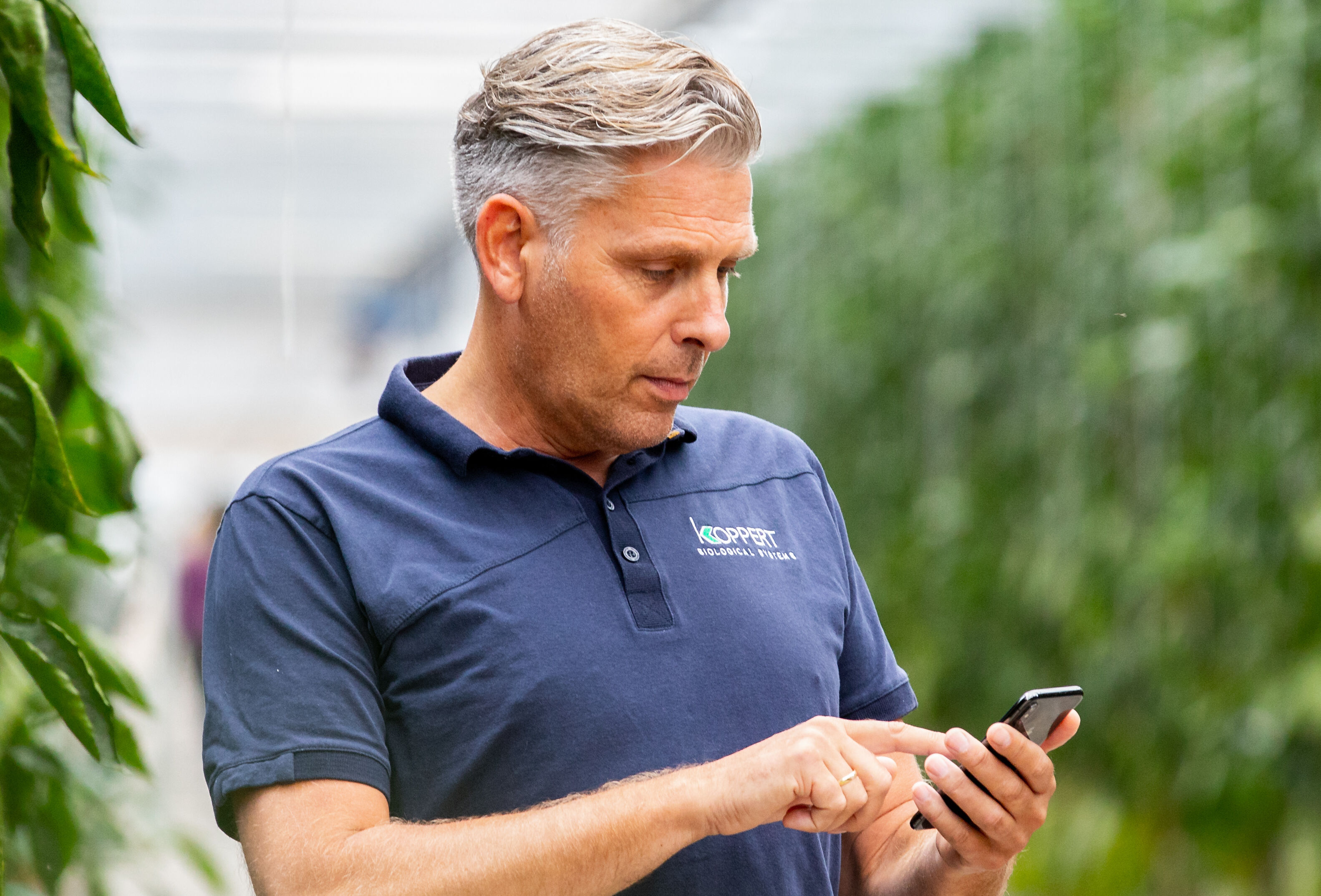 Tomatentelers aan de slag met Natutec Scout | Koppert Nederland