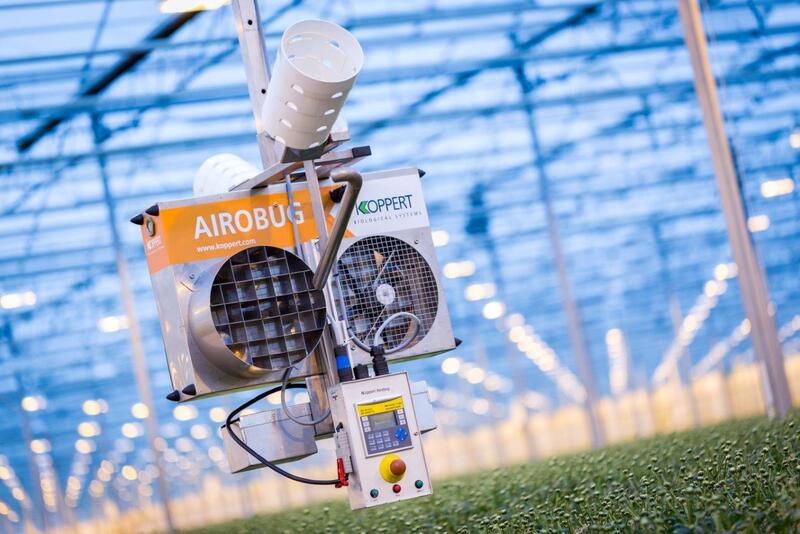 Met verbeterde Airobug jaagt Koppert rendement van 'biologie' op ...