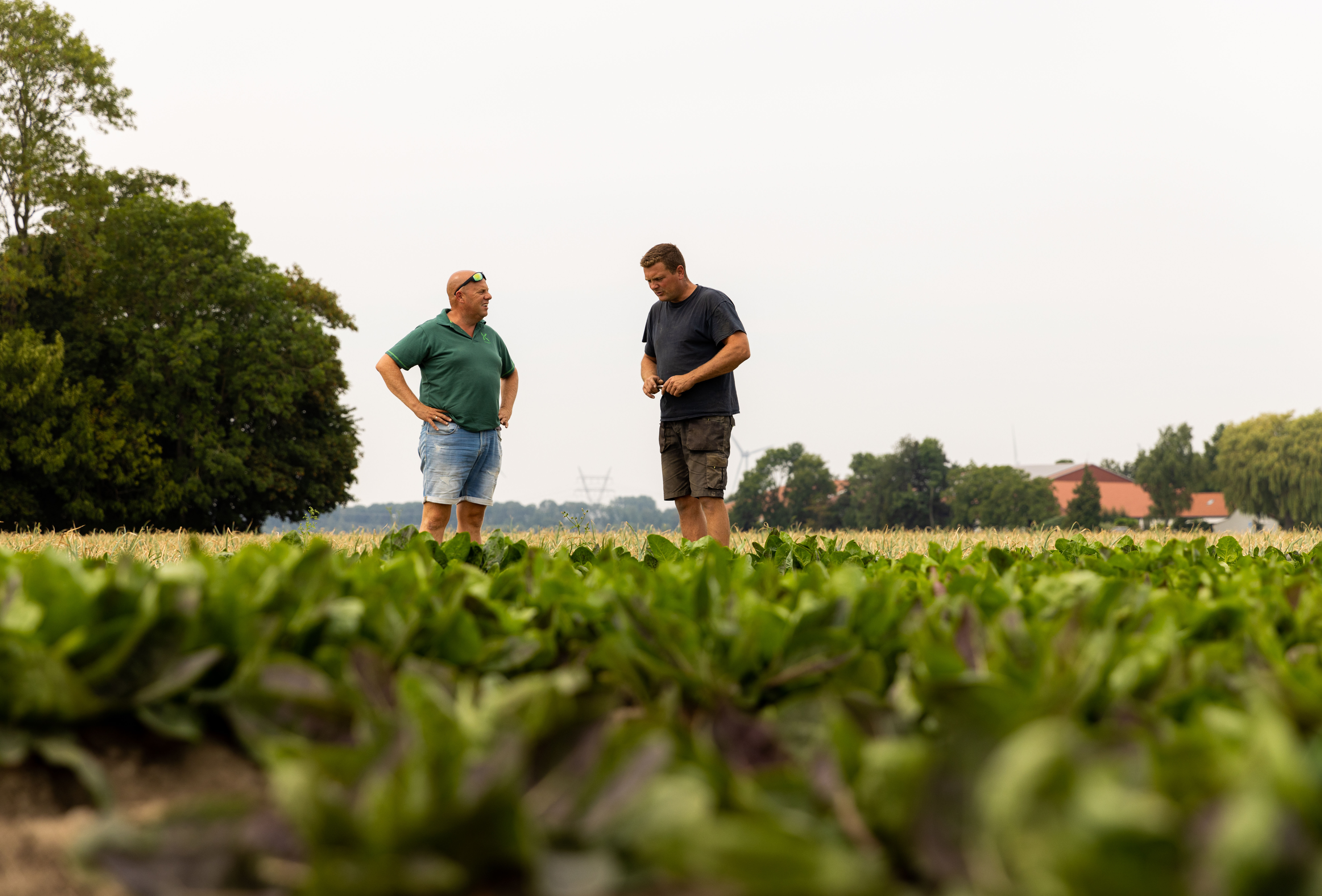 Gewasbescherming voor Landbouw en Tuinbouw