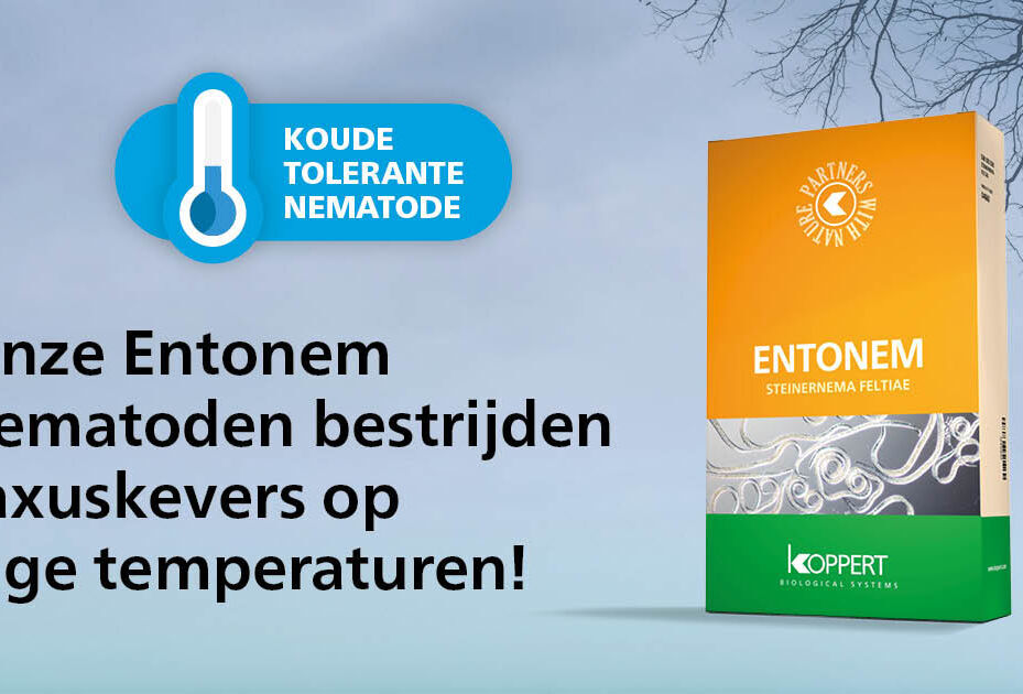 Taxuskever en eikenprocessierups vanaf 5⁰C te bestrijden met Entonem ...