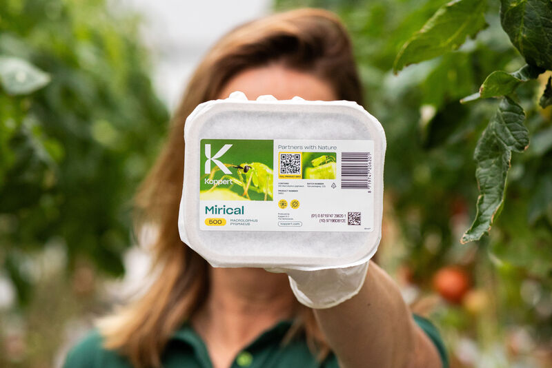 Mirical - optimale bestrijding van wittevlieg met revolutionair ...