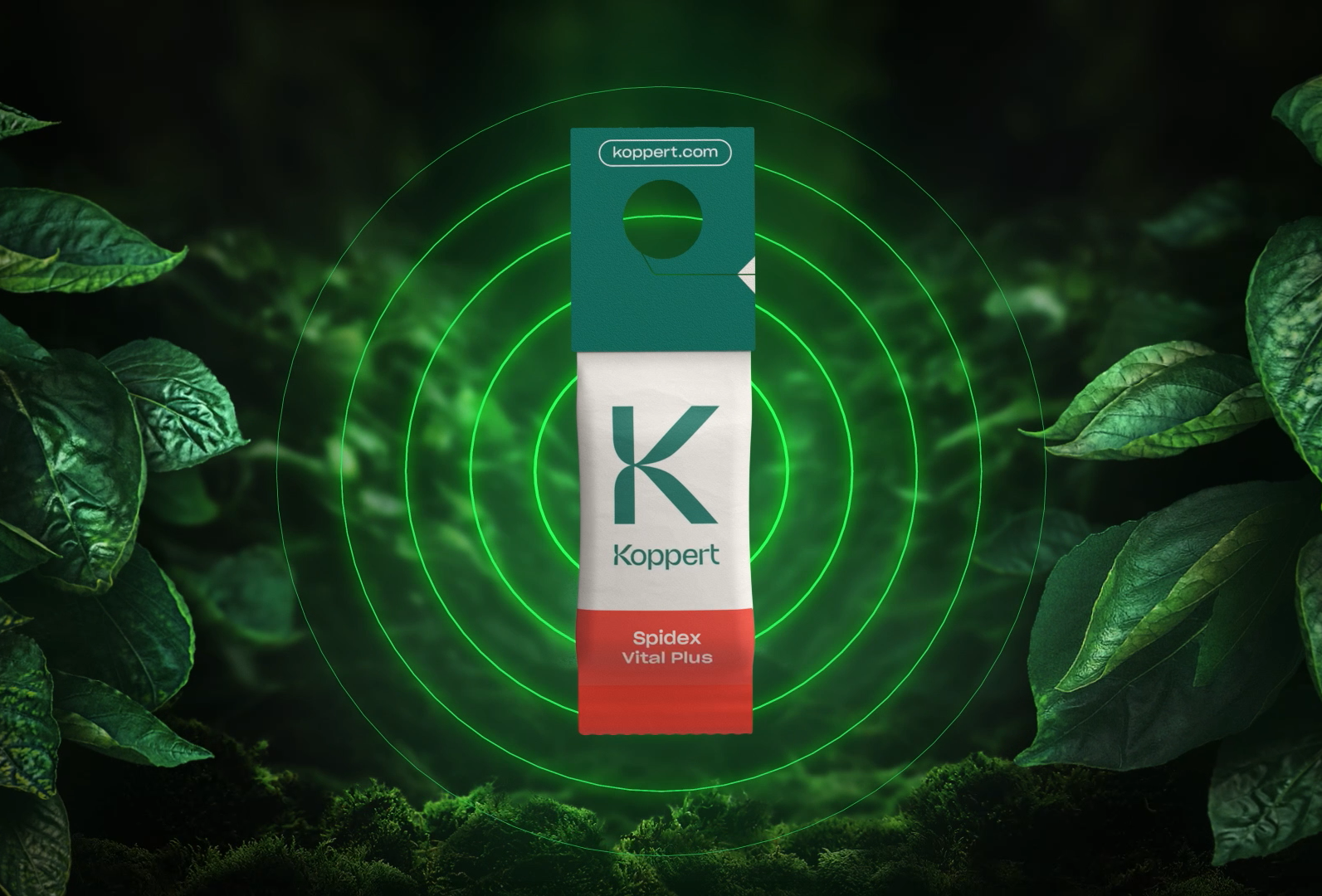 Spidex Vital Plus: effectieve spintbestrijding in een zakje | Koppert ...