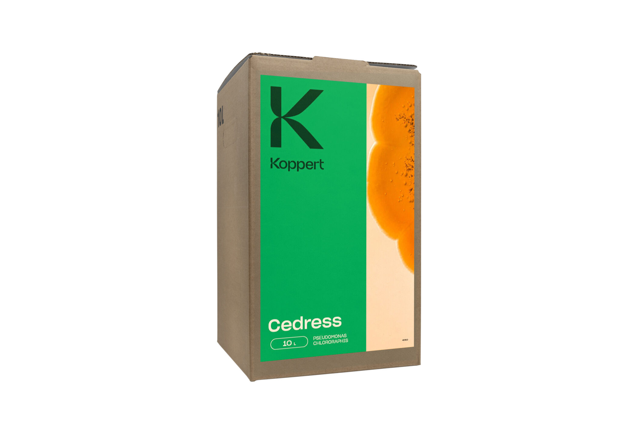 Cedress | Control Seed Borne Fungal Diseases | Bio-fungicide