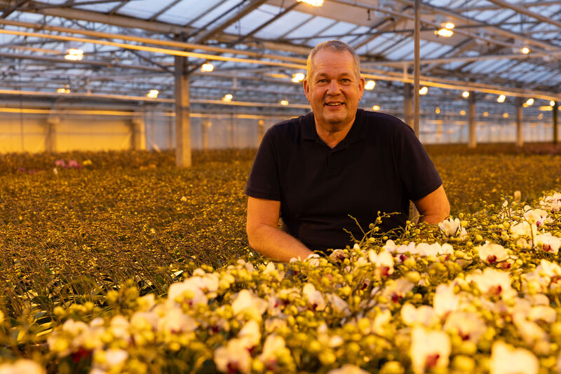 Succesvolle biologische wolluisbestrijding bij Pannekoek Orchideeën ...